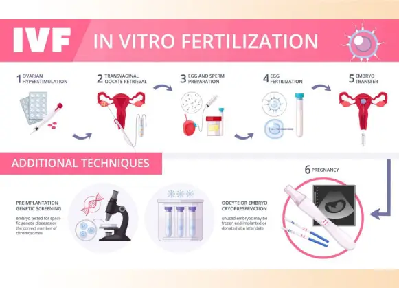 What Are The Different IVF Protocols? - Dr. Shilpa G B